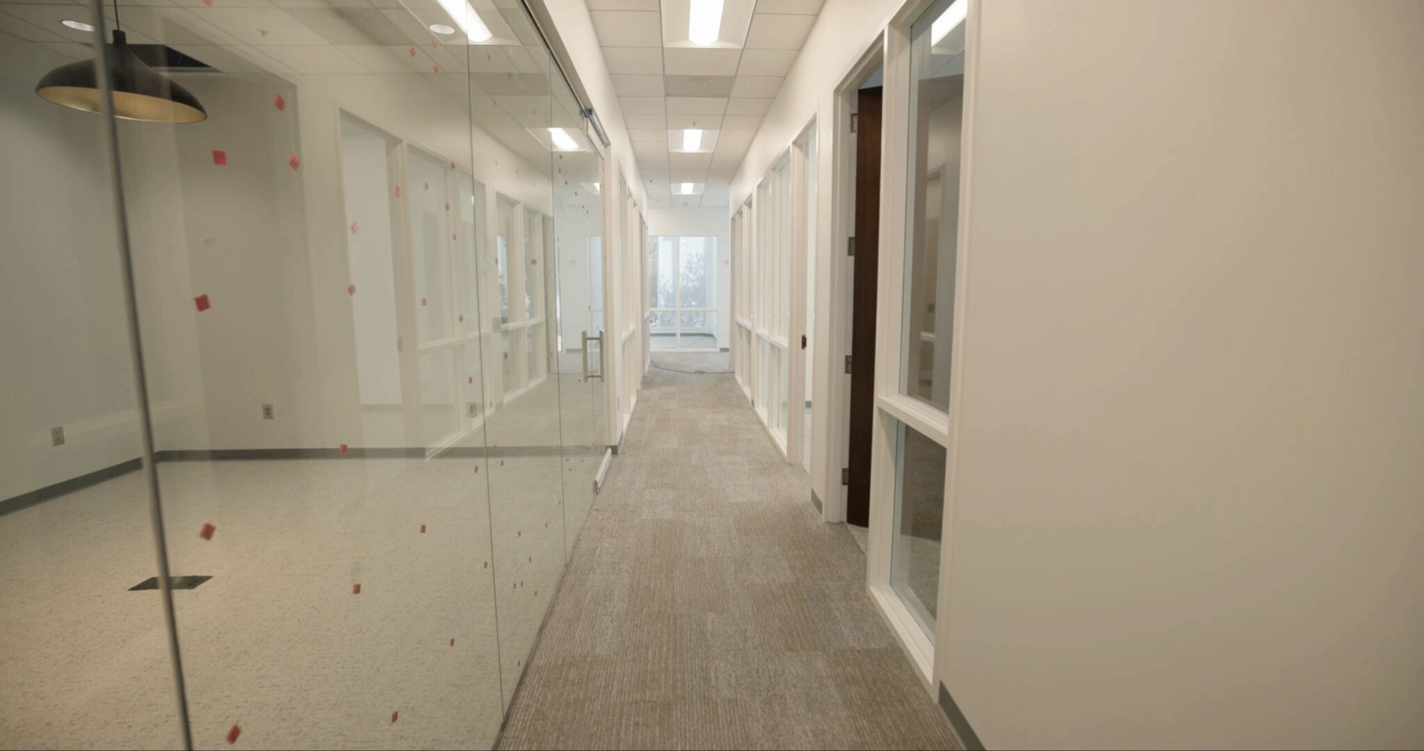 Home - BIP Wealth Investment and Wealth Management Firm | BIP Wealth